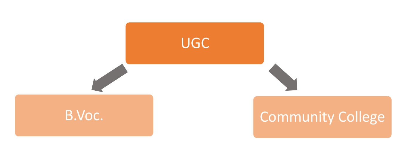 UNIVERSITY GRANTS COMMISSION Bachelor Of Vocation B Voc 